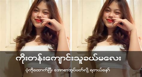 ကိုးတန်းကျောင်းသူ ခယ်မလေး ချစ်စု ဖောင်းဒိုင်းစာအုပ် အပြာစာအုပ