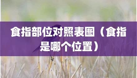 食指部位对照表图（食指是哪个位置） 十日日知识