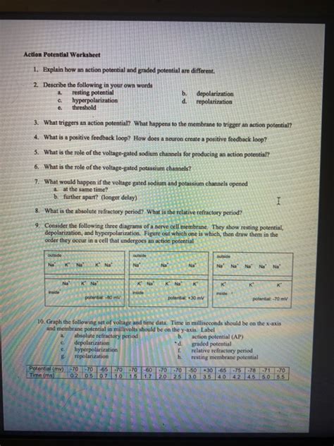 Solved Action Potential Worksheet 1 Explain How An Action