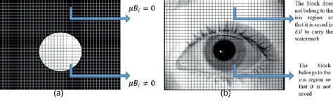 Figure 1 From Multi Biometric Watermarking Scheme Based On Interactive Segmentation Process