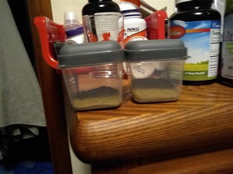 Dollar Store Pocketable Dose Containers Rkratomkorner