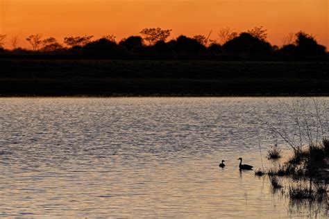 The Grand Prairie Hockley Texas Hello Cypress