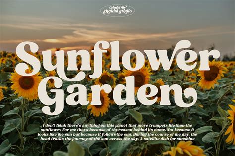 Fresh Mango Retro Serif Font Elegant Font Canva Font Modern Font Boho Font Logo Font