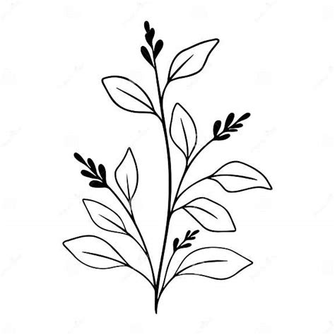 Простая черная ветку дерева с берри и листьями Завод вычерченный руки Элемент ботанического