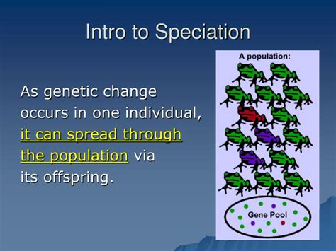 Ppt Process Of Speciation Powerpoint Presentation Free Download Id Ppt Process Of Speciation Powerpoint Presentation Free Download Id