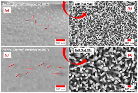 Nanomaterials Free Full Text One Dimensional Zno Nanostructures Growth And Chemical Sensing