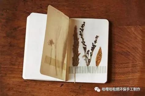 春天來了，欣賞一組植物標本 每日頭條