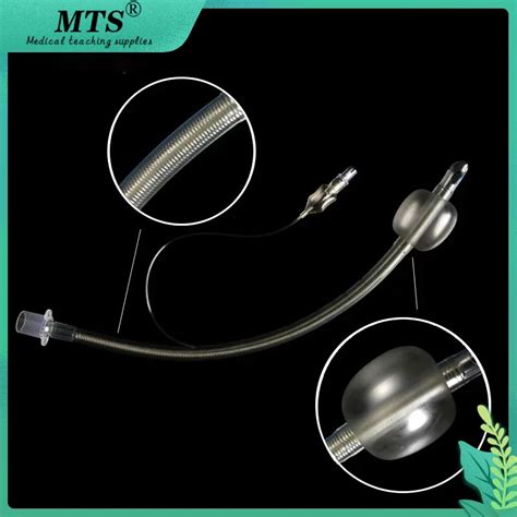 Hdf C B C B Daf Eb F S