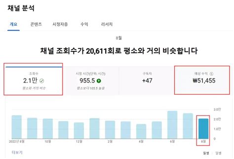 유튜브 수익 계산기 정확도 및 종류 블링 녹스인플루언서