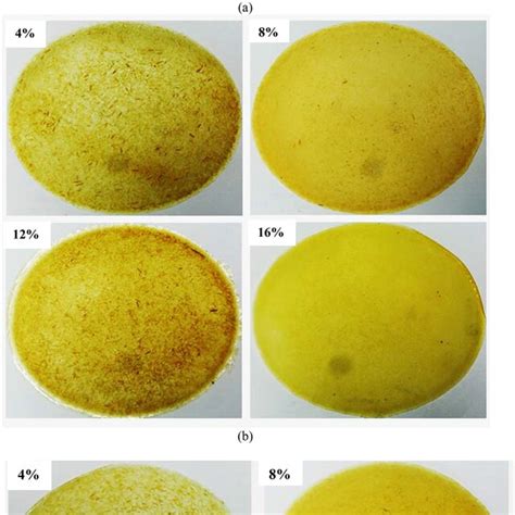Composite Films For The 4 8 12 And 16 Alkali Treated Cellulose Of A Download Scientific