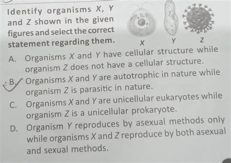 Identify Organisms X Y And Z Shown In The Given Figures And Select The Co