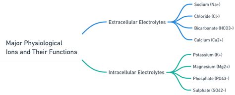 Major Extra And Intracellular Electrolytes Extracellular And Intracellular