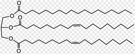 일반적인 해바라기 해바라기 유 해바라기 씨 화학 해바라기 유 각도 화이트 Png Pngegg