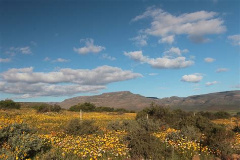 Gedagte Vir Die Dag Dink Soos N Mier Maroela Media