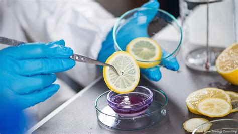 Biological Safety Testing Vaccines And Research Safety