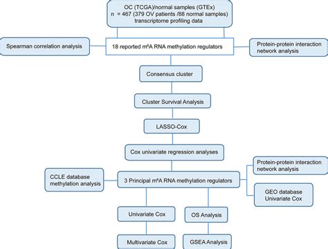 Workflow Chart Of Data Generation And Analysis The Study Mainly Download Scientific Diagram