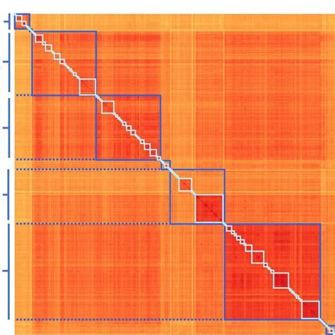 Pairwise Dna Similarities Between 3000 Randomly Sampled Sequences From Download Scientific