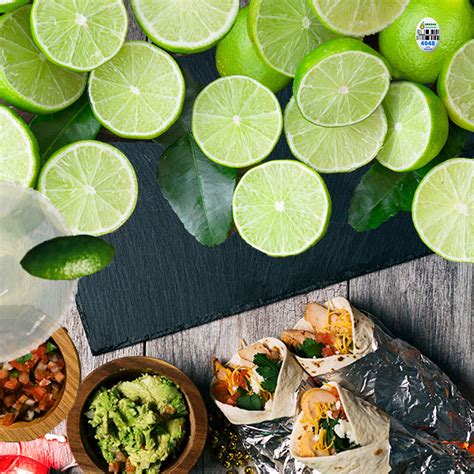 All About Limes Brooks Tropicals