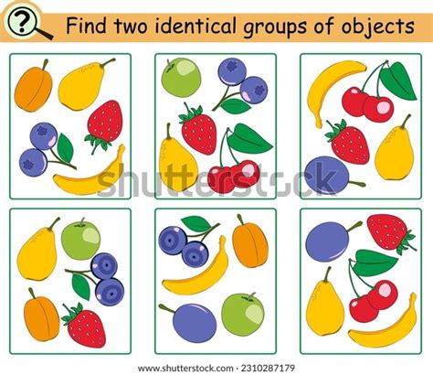 Find Two Identical Groups Objects Educational Stock Vector Royalty Free 2310287179 Shutterstock