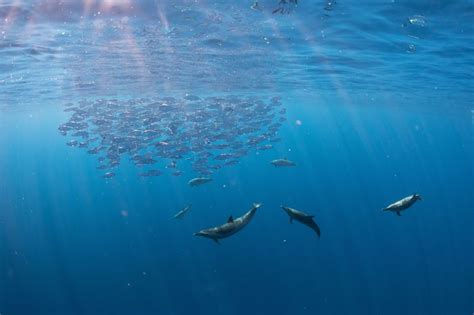 How A Job Post Can Help A Ceo Search Matt Venning Posted On The Topic Linkedin