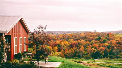 Exploring The 4 Types Of Scaffolding In Education Strategies Benefits