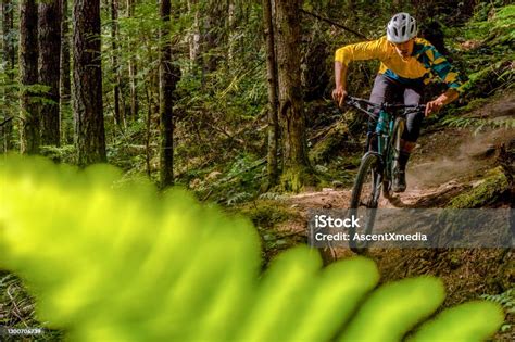 산악 자전거 타는 사람은 아침에 숲이 우거진 길을 따라 타다 25 29세에 대한 스톡 사진 및 기타 이미지 25 29세 T 셔츠 개성 개념 Istock