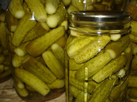 What Is Dill In Pickles At Kathleen States Blog
