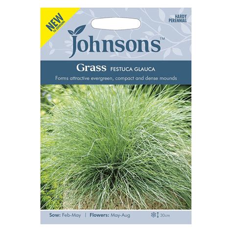 Johnsons Grass Festuca Glauca Seeds Dewaldens Garden Centre