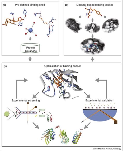 Computational Design Of Enzyme Binding Pockets For Ligands Cd Biosynsis