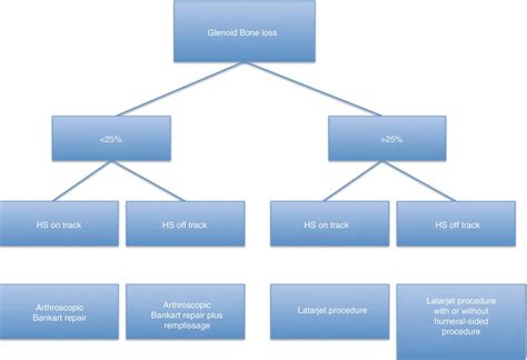 Shoulder Anterior Instability Musculoskeletal Key