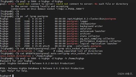 Psql连接数据库报错 Could Not Connect To Server No Such File Or Directorypsql