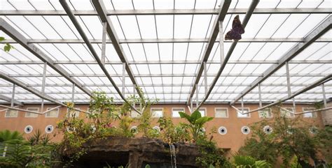 폴리카보네이트 Danpal