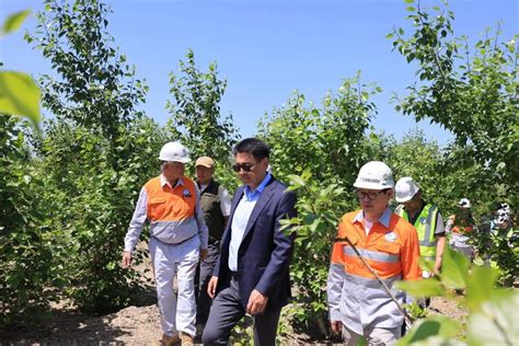 Хөдөлмөрийн эрхийн маргаан таслах комиссын дүрэм