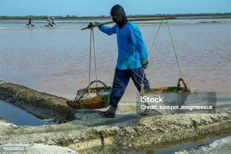 어깨와 소금 밭을 걷는 소금으로 가득한 나무 바구니를 들고 다니는 일꾼 건강관리와 의술에 대한 스톡 사진 및 기타 이미지 건강관리와 의술 걷기 나름 Istock