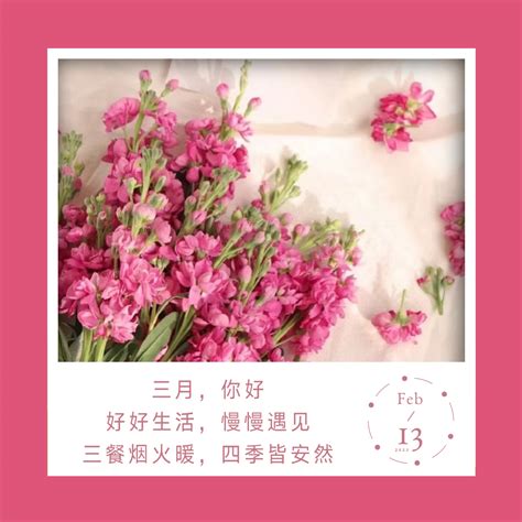 三月你好！发朋友圈的唯美励志文案！ 知乎