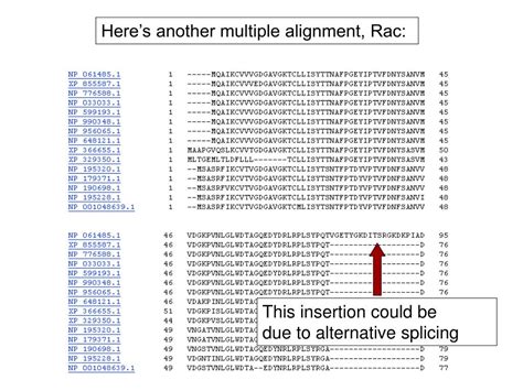 Ppt Multiple Sequence Alignment Msa Powerpoint Presentation Free Download Id3947289