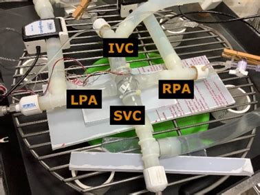 Mock Circulatory Test Loop For Measuring Head Flow HQ Characteristics