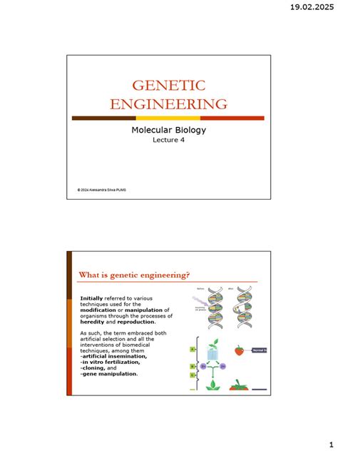 Molbio Genetic Engineering Lecture Pdf Restriction Enzyme Dna