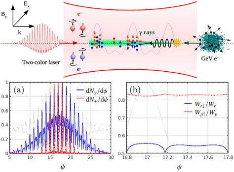 Scheme Of Laser Based Polarized Positron Beam Production 49 A Download Scientific Diagram