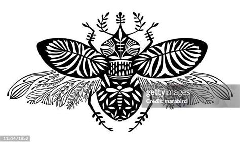 Cicada Pattern Photos And Premium High Res Pictures Getty Images