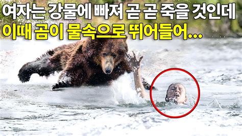 여자는 실수로 세차게 흐르는 강물에 빠져 곧 죽을 것이다 이때 곰이 물속으로 뛰어들어 놀라운 행동을 했다 Youtube