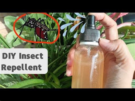 How To Repel Insects Naturally Diy Joy