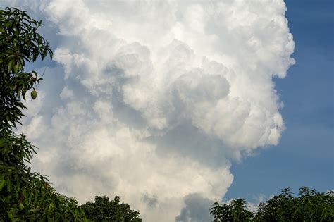 天空 云 树叶 Pixabay上的免费照片 Pixabay
