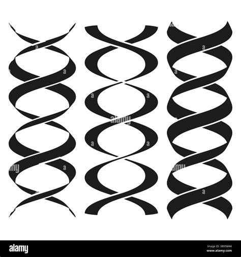 Dna Strand Design Spiral Helix Pattern Genetic Curve Structure