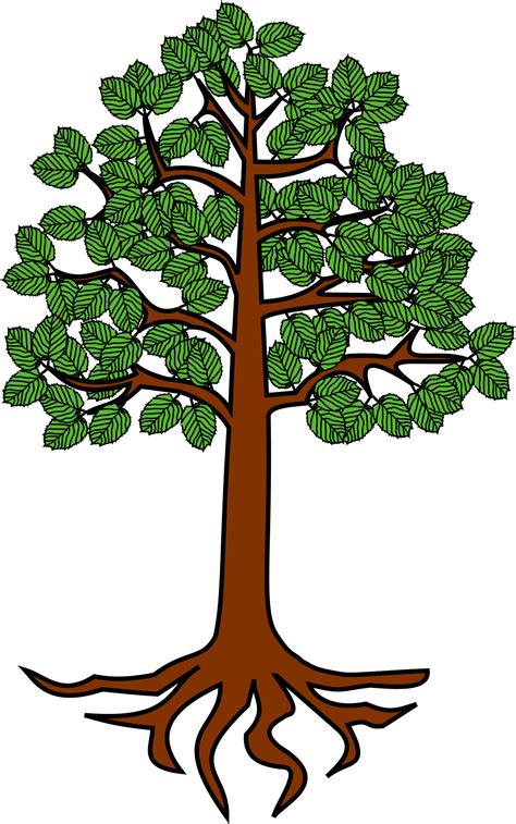 Download Tree Root Trunk Clip Art Tree With Root Clipart Png Download PinClipart