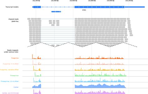 Read Mapping Functions — Plastid Documentation