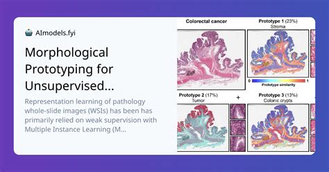 Morphological Prototyping For Unsupervised Slide Representation Learning In Computational