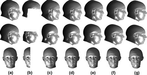 The Flexibility Of Reconstruction From Incomplete Data Using The Global Download Scientific