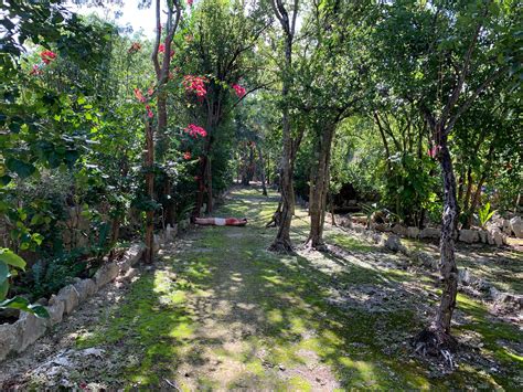 Lilit A Sargsyan Medium