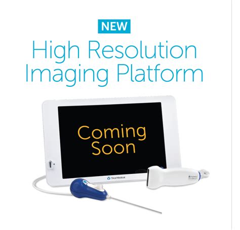 Lines Appearing Around Border Of Exported Png Fil Adobe Community 12191273